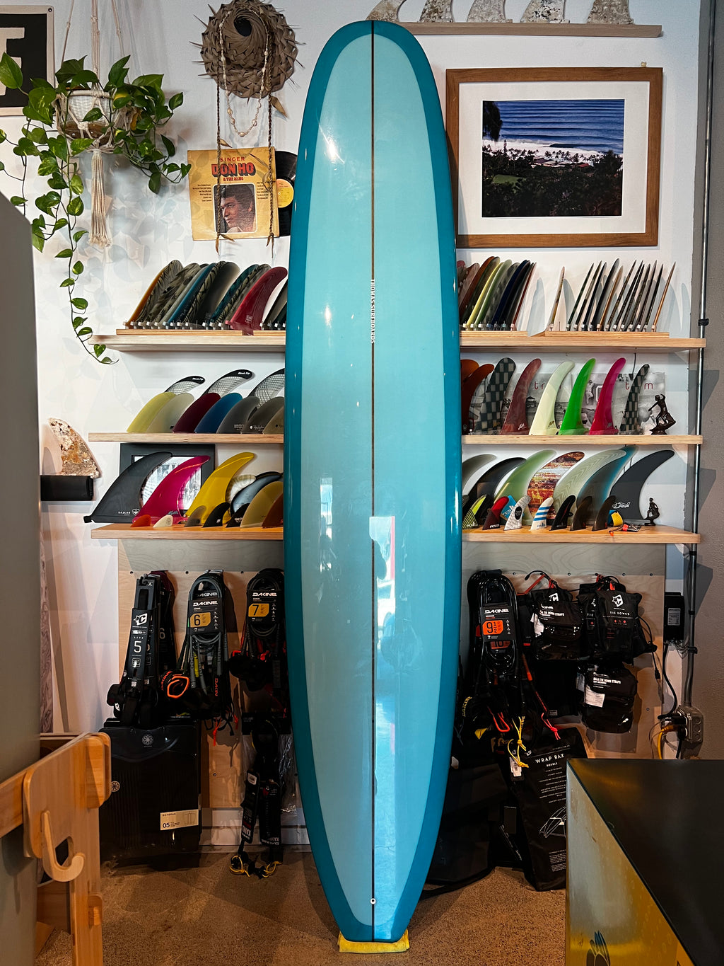 Thomas Surfboards 9'4 Moose Knuckle – SantoLoco Hawaii